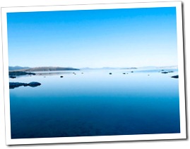 Android Icon/GTK Theme For Ubuntu - OMG! Ubuntu